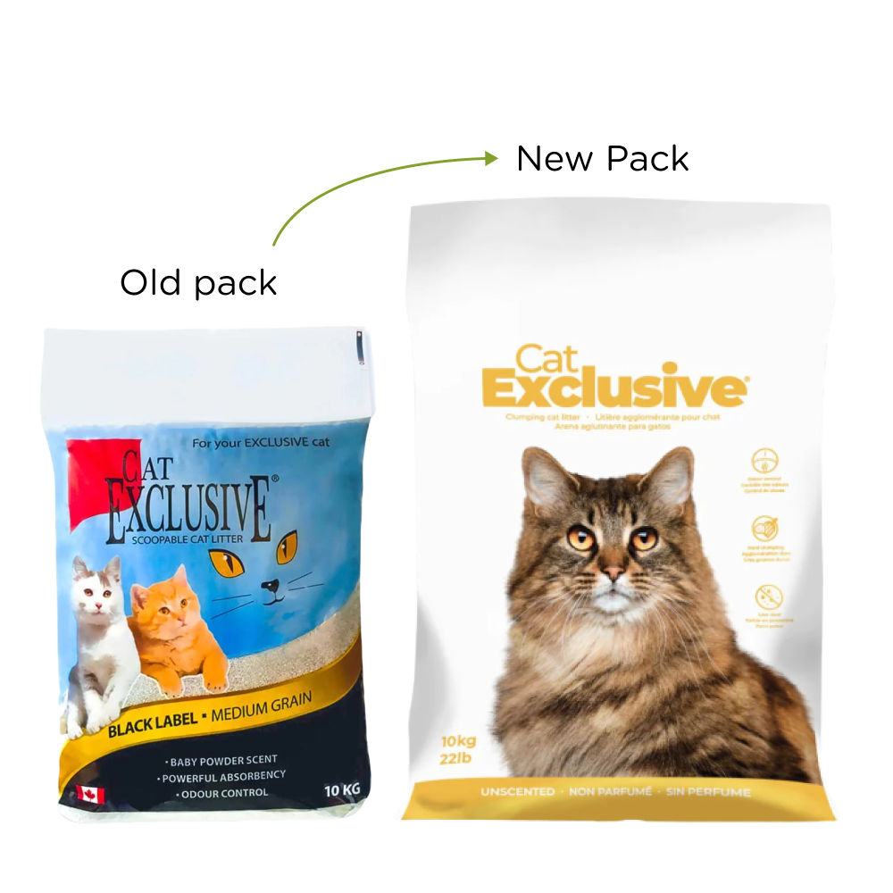 Buy Intersand Cat S Exclusive Clumping Unscented Cat Litter ...
